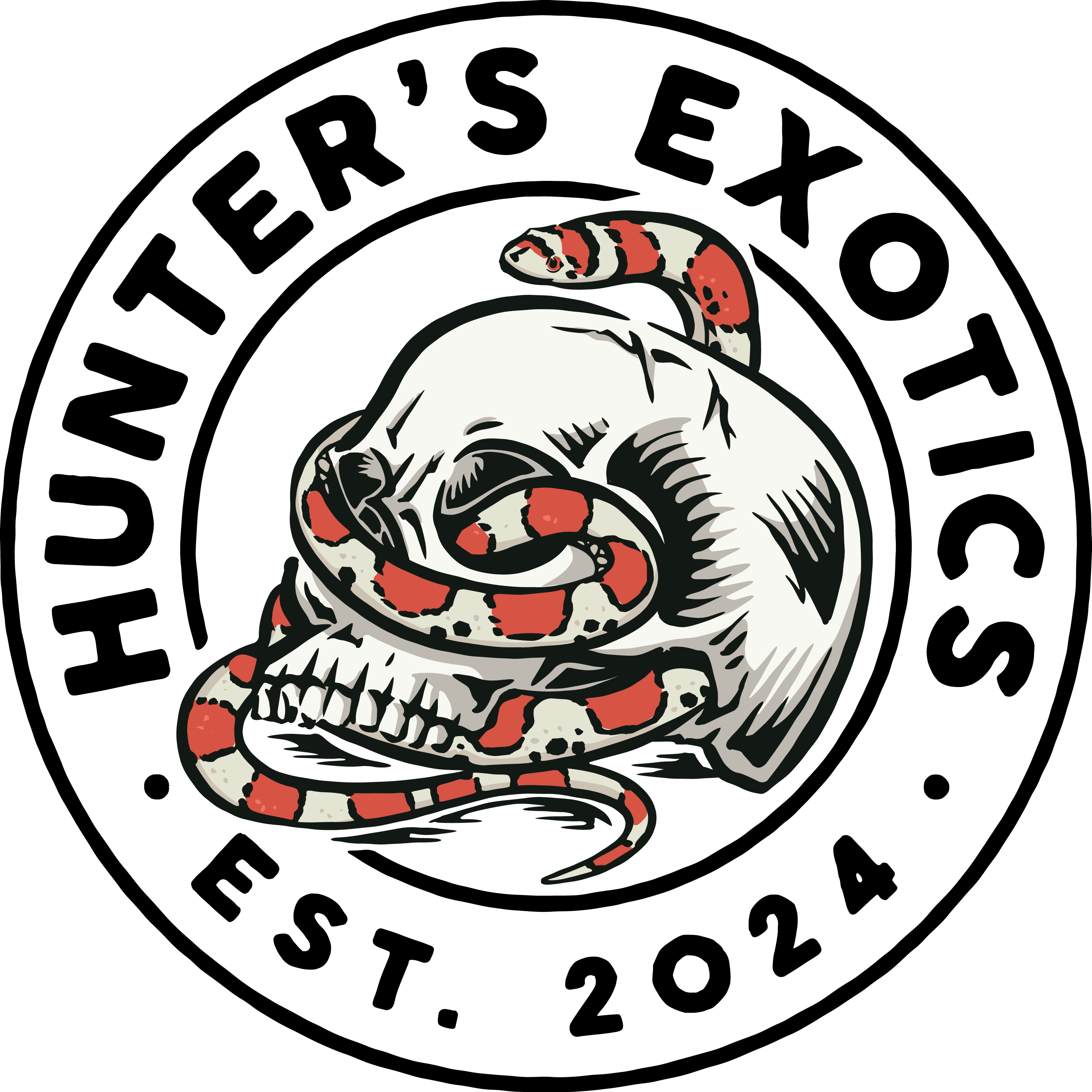 Argentine Horned Frog (Pac-Man Frog) Care Guide - Hunter's Exotics